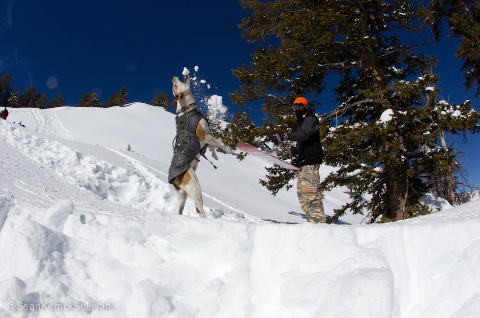 Jack & Aaron Biittner – Wolfgang